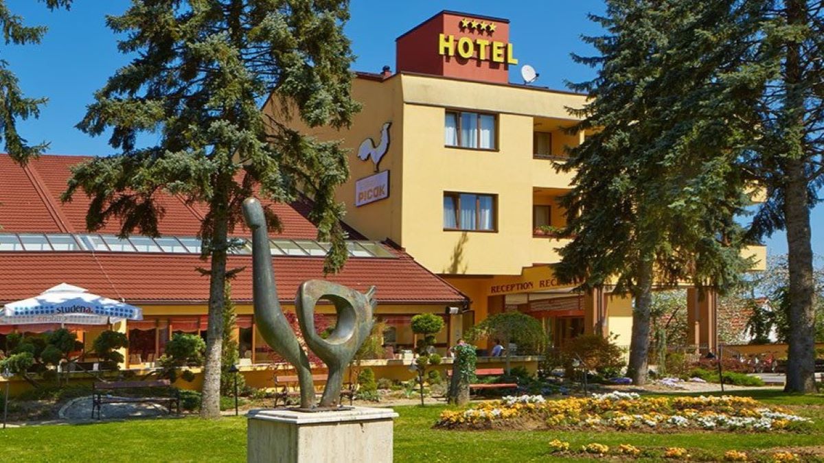 Privlačna ponuda hotela Picok: Imamo bazen, jacuzzi, saune i teretanu ...